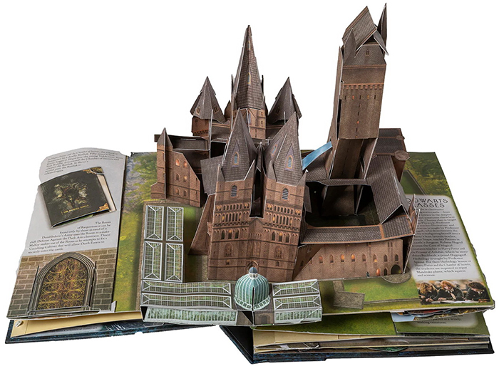 HARRY POTTER A POP-UP GUIDE TO HOGWARTS | Consulta