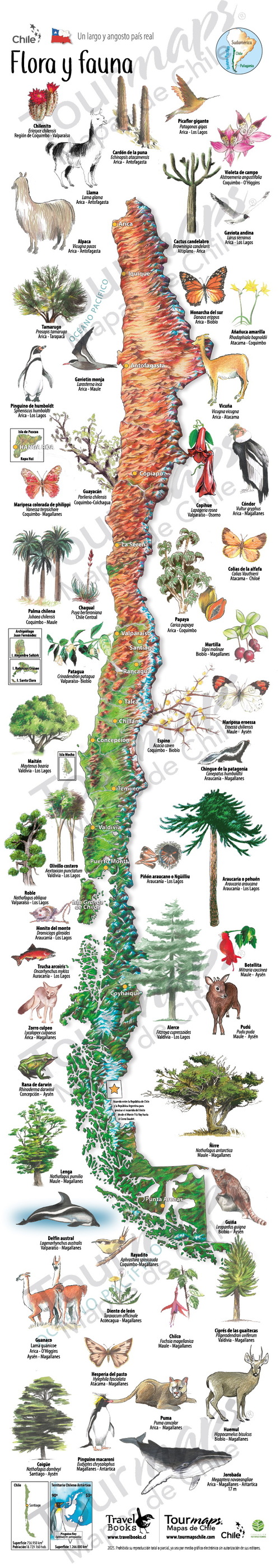 MAPA FLORA Y FAUNA DE CHILE | Consulta
